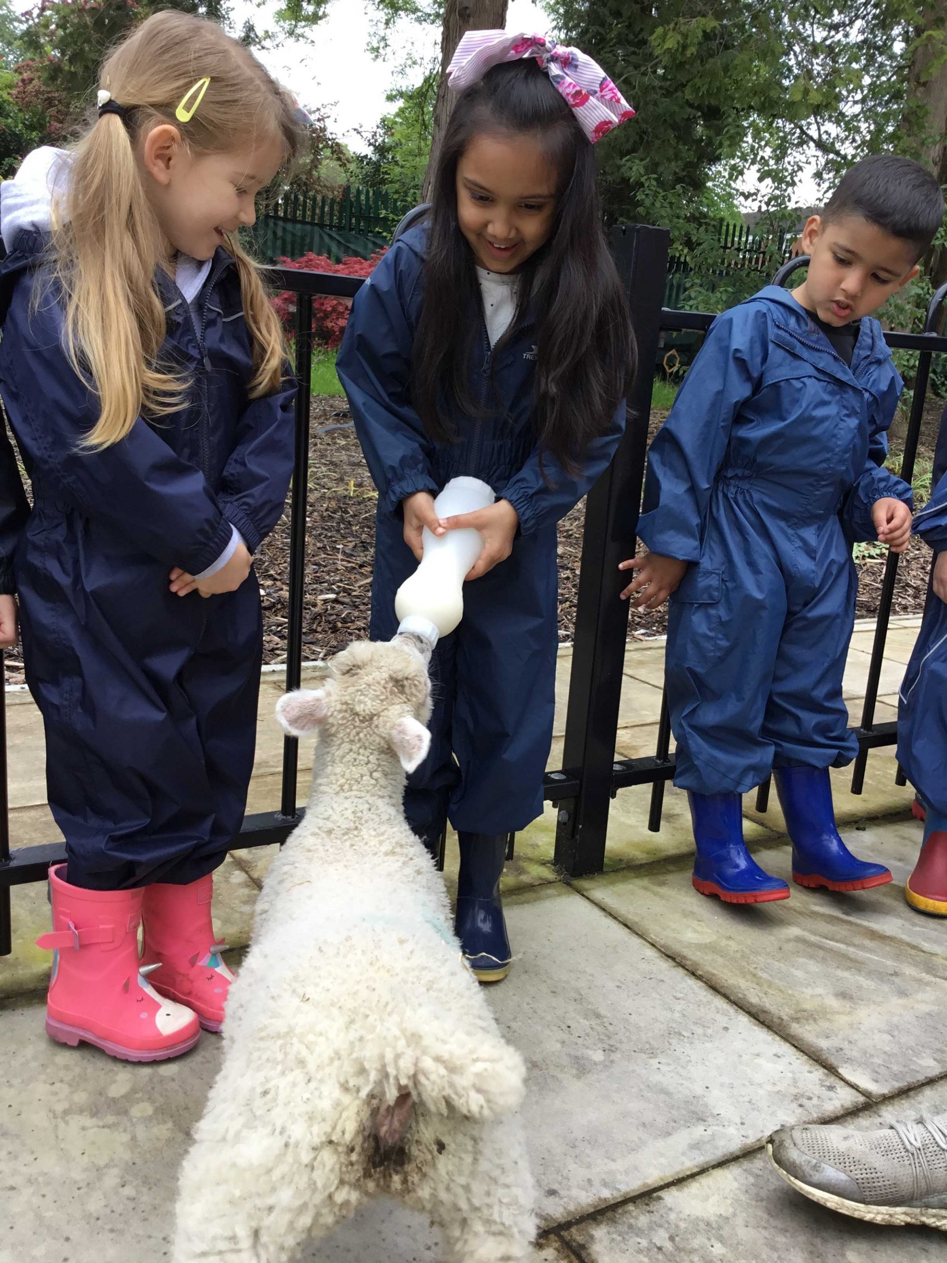 Fantastic mobile farm visit delights Nursery pupils - Stockport Grammar ...