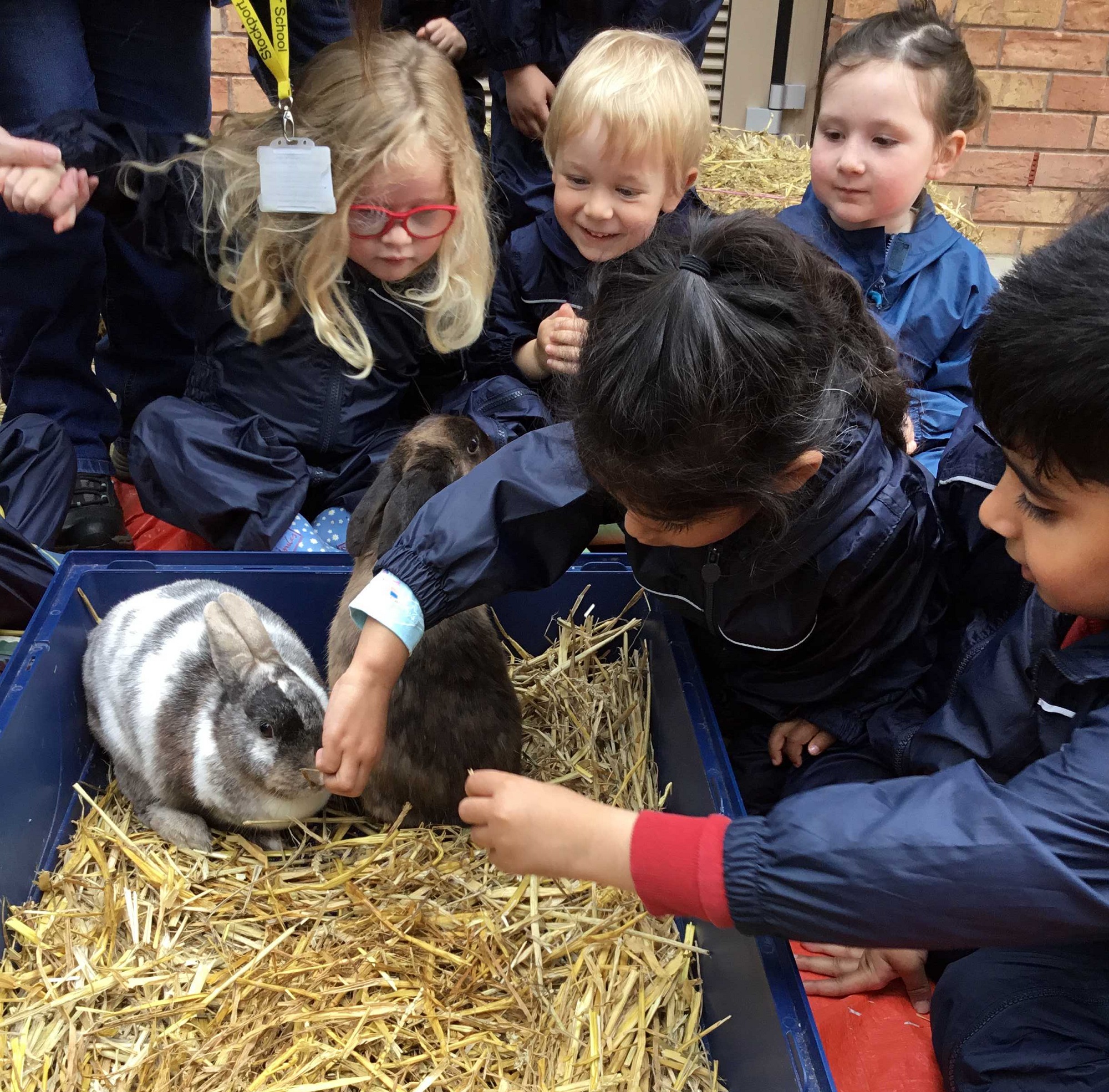 Fantastic mobile farm visit delights Nursery pupils - Stockport Grammar ...