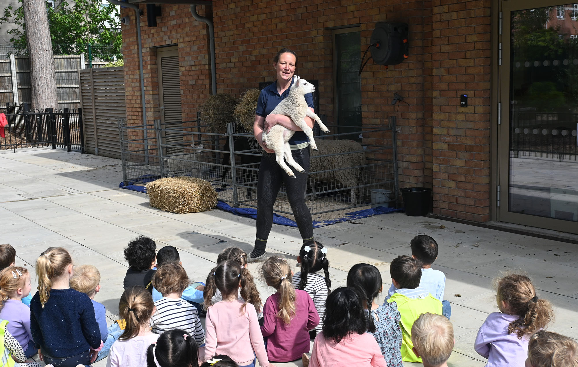 Mobile farm visit delights Nursery pupils - Stockport Grammar School